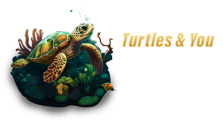 Official Turtles and You - Turtle Snorkeling Oahu - Waikiki Snorkel Tour