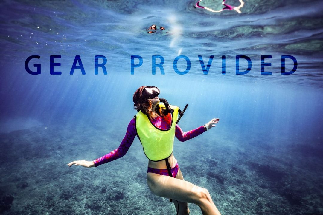 How do I Snorkel in the Ocean for Beginners (Snorkel Gear Provided ...