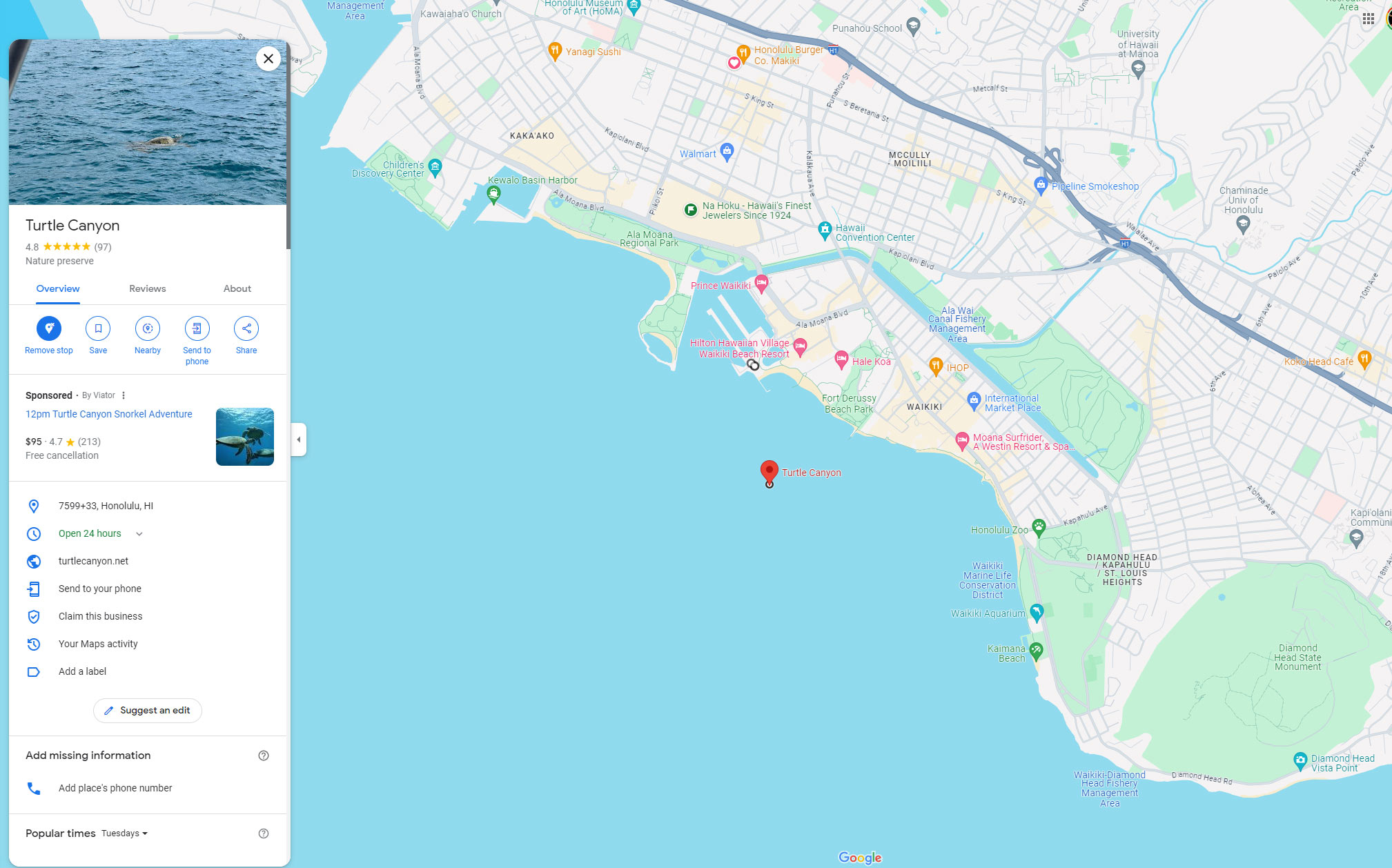 Can you swim to Turtle Canyon from Oahu? - Turtle Snorkeling Oahu ...