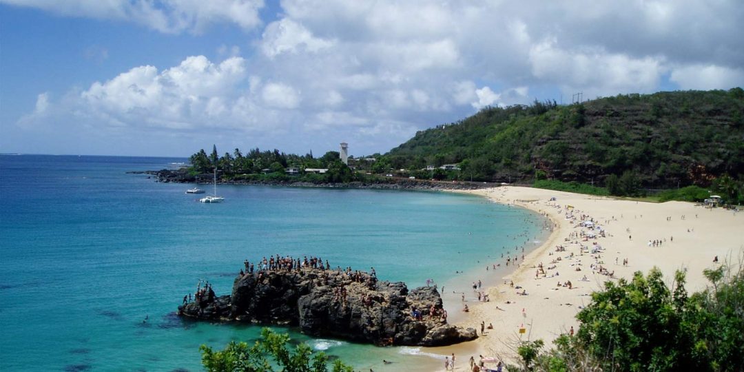 Where to Snorkel with Turtles on Oahu (Beyond the Crowds) - Turtle ...